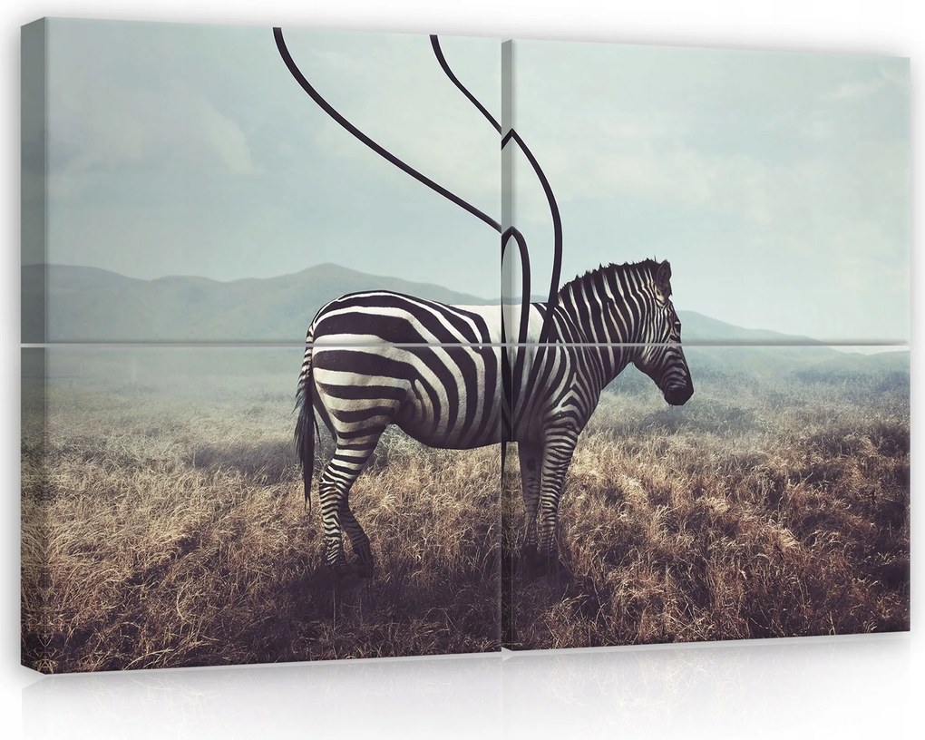 Obraz 120x80 Zebra příroda surrealismus abstrakce step osamělost prostor