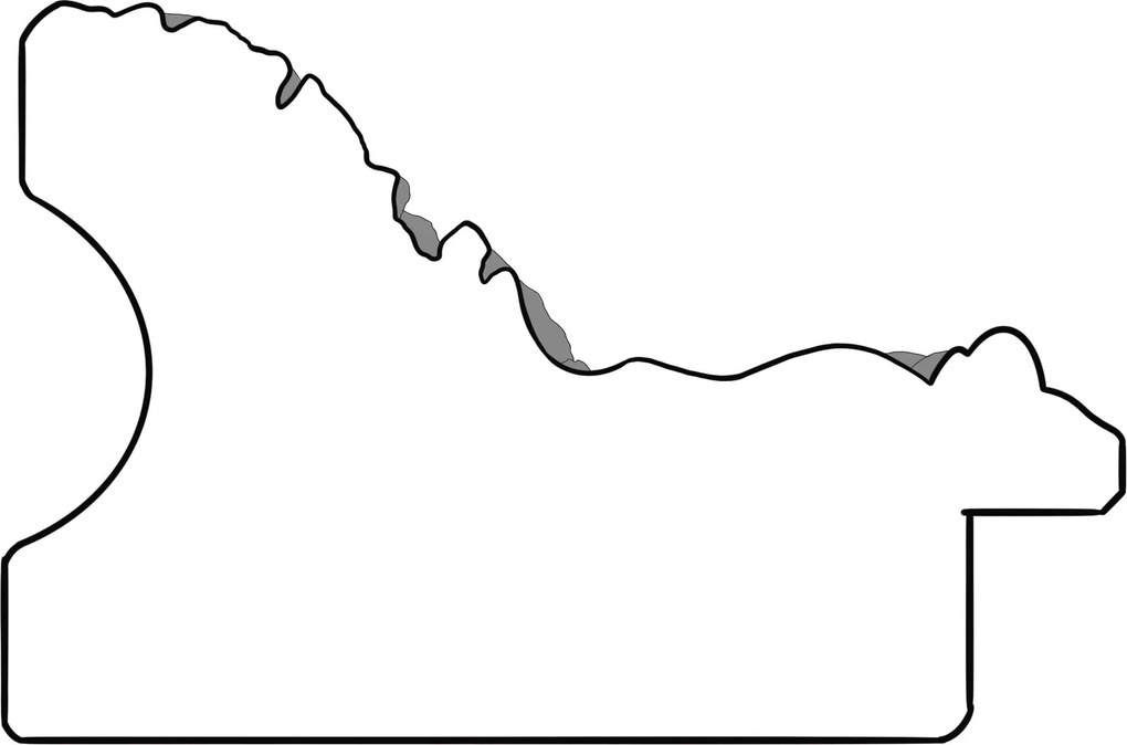 DANTIK rámeček 42x59,4 | Claico 2 (zlato ořechy) (Plexi Čiré)