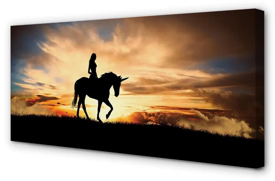 Obrazy na plátně Žena na jednorožce západu slunce 120x60 cm