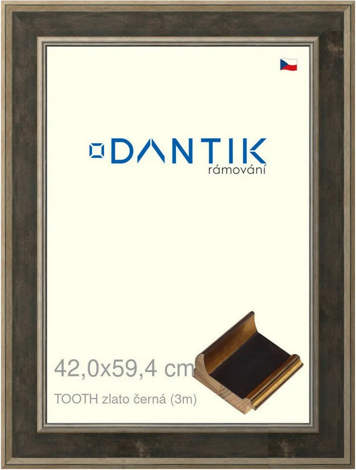 DANTIK rámeček 42x59,4 | TOOTH zlato černá (Plexi Čiré)