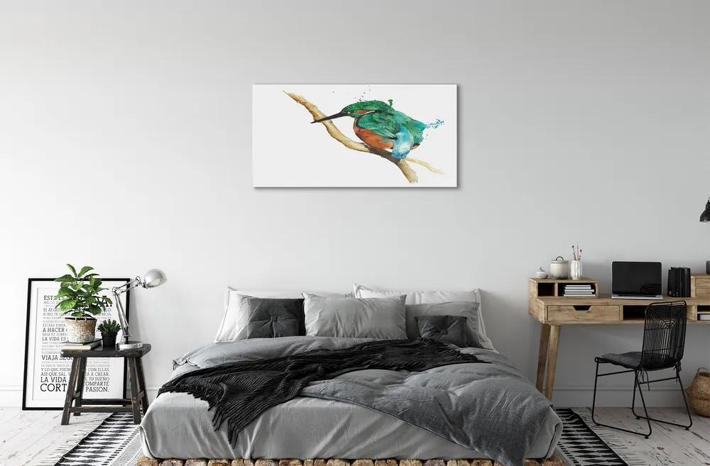 Obrazy na plátně Barevné malované papoušek 125x50 cm