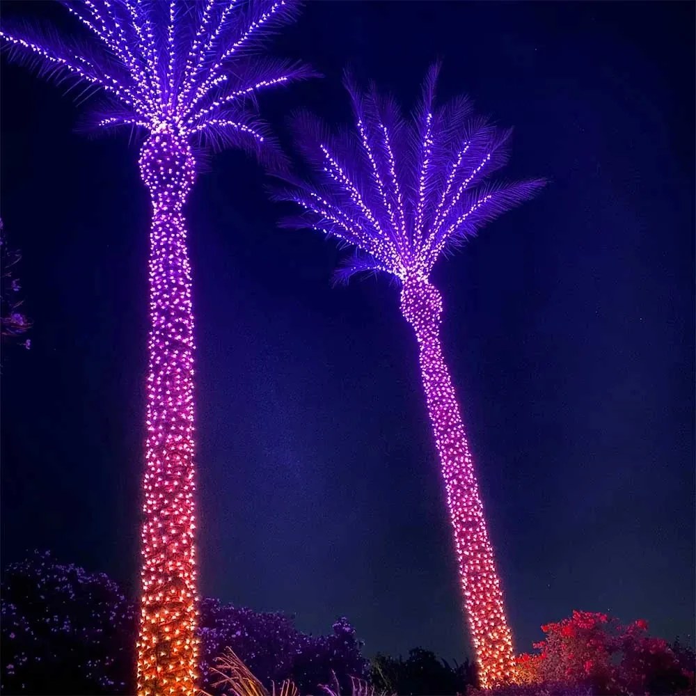 Barevná světýlka venkovní Twinkly strings 25 m Dual Pro, 2× 125 LED RGB, černý kabel, IP44, 2× 12,5 m