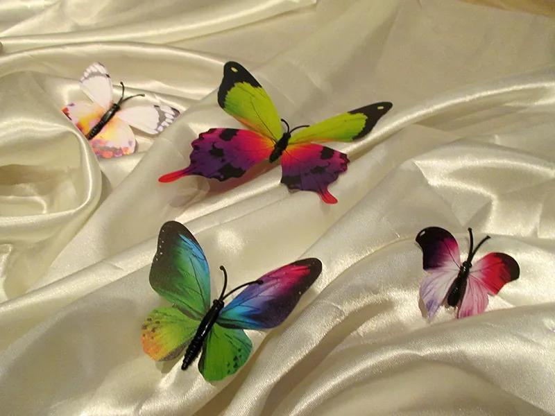 Nalepte.cz 3D dekorace pestří motýli 12 ks 12 kusů 6 cm až 12 cm
