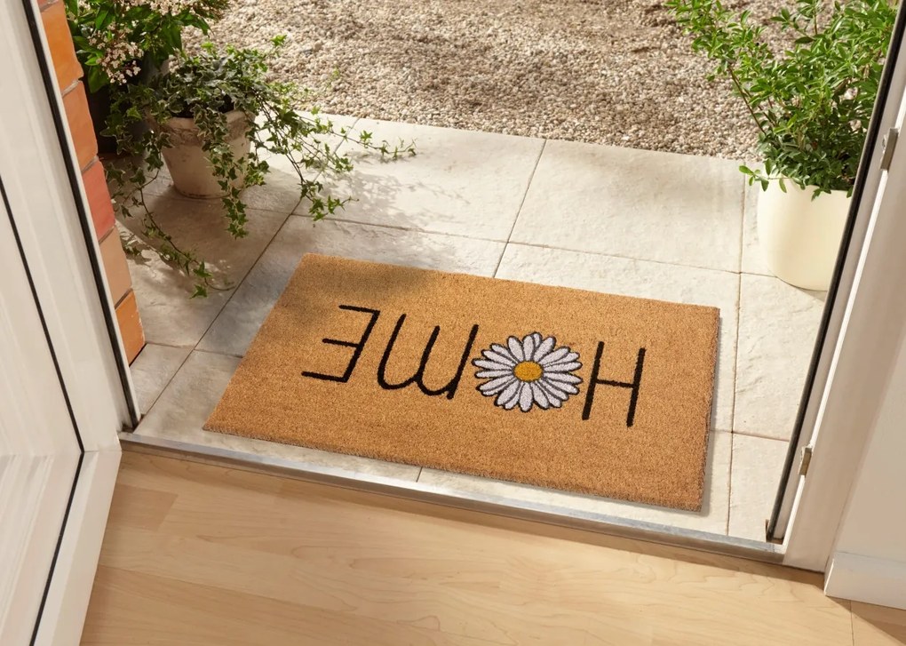 Hanse Home, Rohožka Home 105580 - na ven i na doma, 45x75, hnědá, chodba / předsíň