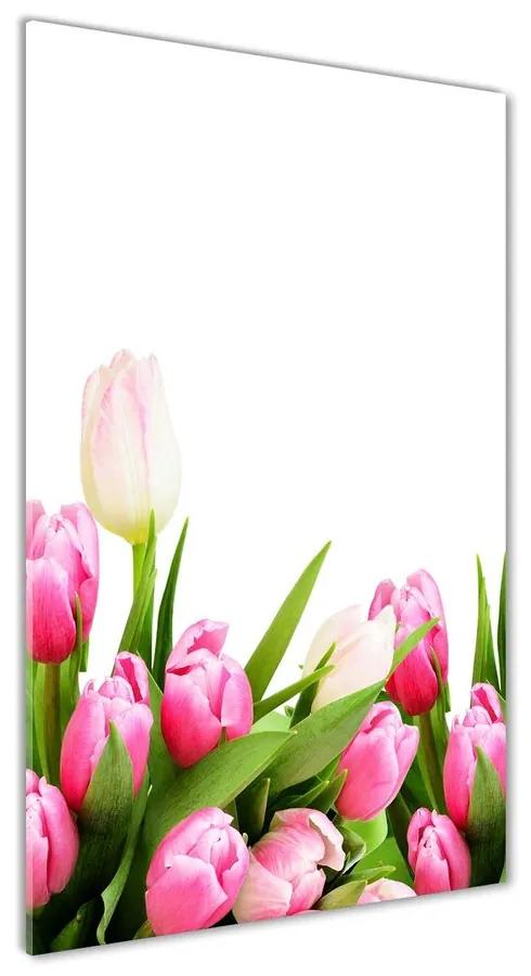 Wallmuralia Fotoobraz na skle Růžové tulipány 60x120 cm