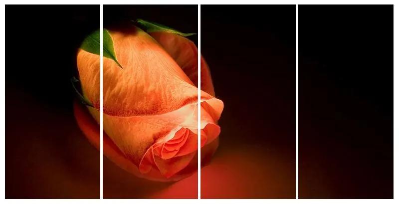 Obraz květu růže (160x80 cm), 40 dalších rozměrů