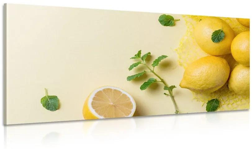 Obraz citrony s mátou Varianta: 100x50