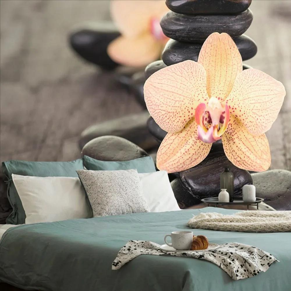 Samolepící fototapeta orchidej a Zen kameny - 225x150 cm