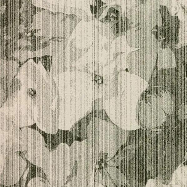 Eijffinger Vliesová tapeta na zeď 340072 Bloom, Eijffinger rozměry 0,52 x 10 m