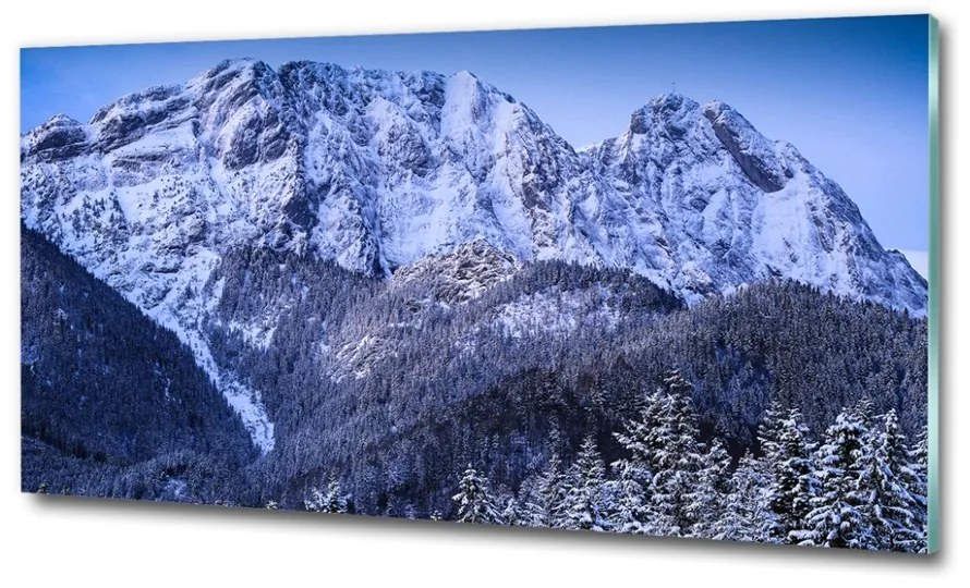 Wallmuralia Fotoobraz na skle Gievont Tatry 100x50