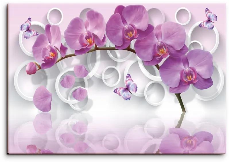 Malvis ® Obraz Růžová motýlí orchidej Velikost: 120x80 cm