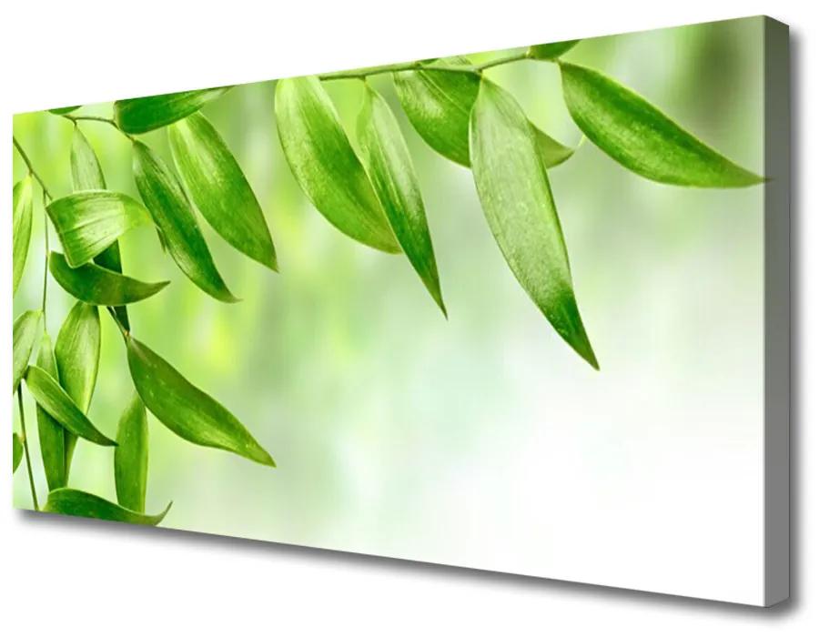 Obraz na plátně Zelené Listy Příroda 120x60 cm