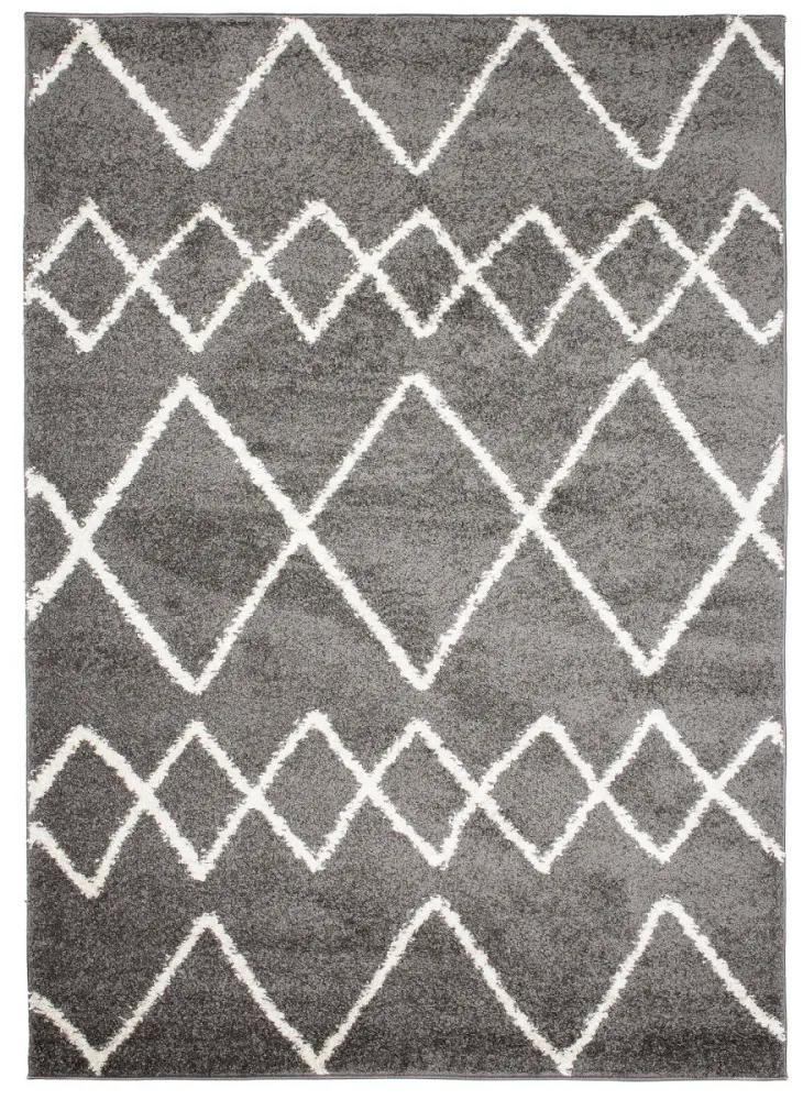 Kusový koberec shaggy Prata šedý 120x170cm