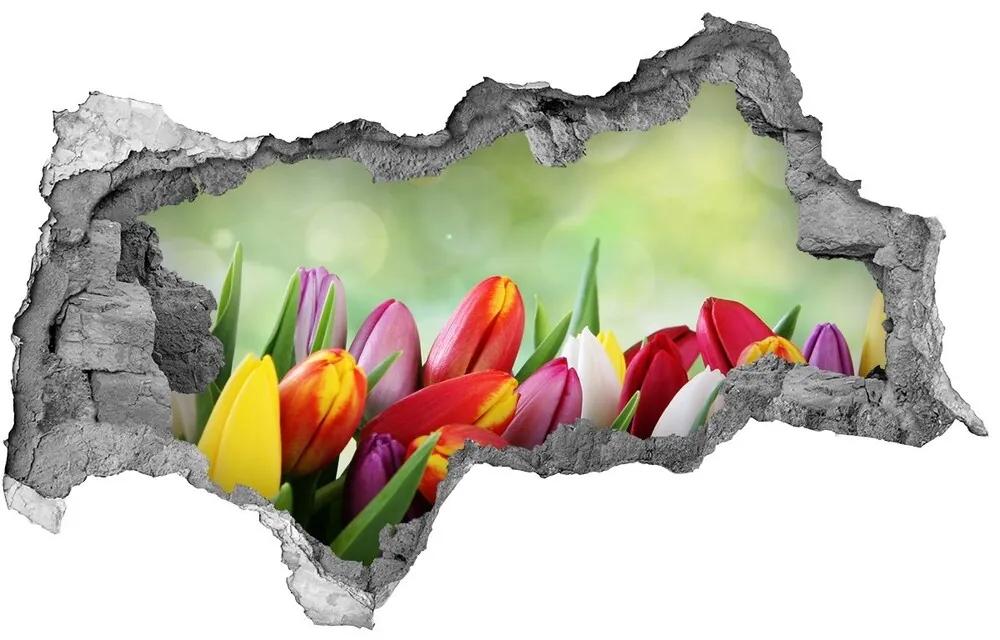 Wallmuralia Samolepící díra na stěnu Barevné tulipány 95x73 cm