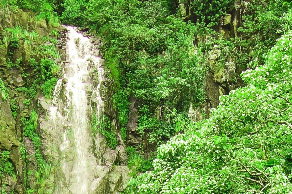 Obraz vodopád v lese Velikost (šířka x výška): 60x40 cm
