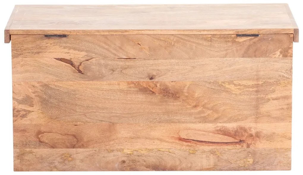 furniture-nabytek.cz - Masivní truhlice Delmar z mangového dřeva, hnědá – 88×88×44 cm