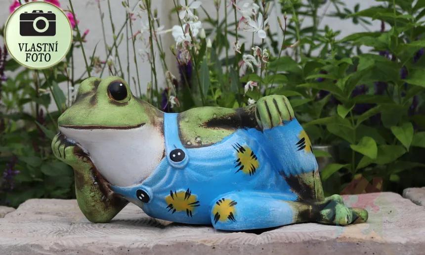 Žaba na zahradu Česlav