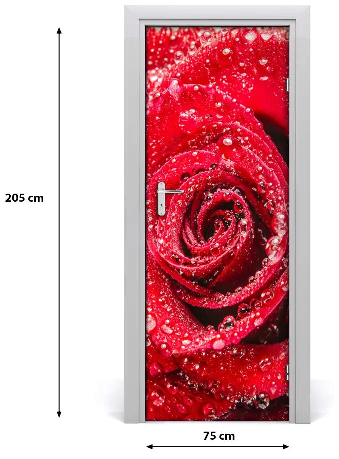 Fototapeta samolepící červená růže 75x205 cm