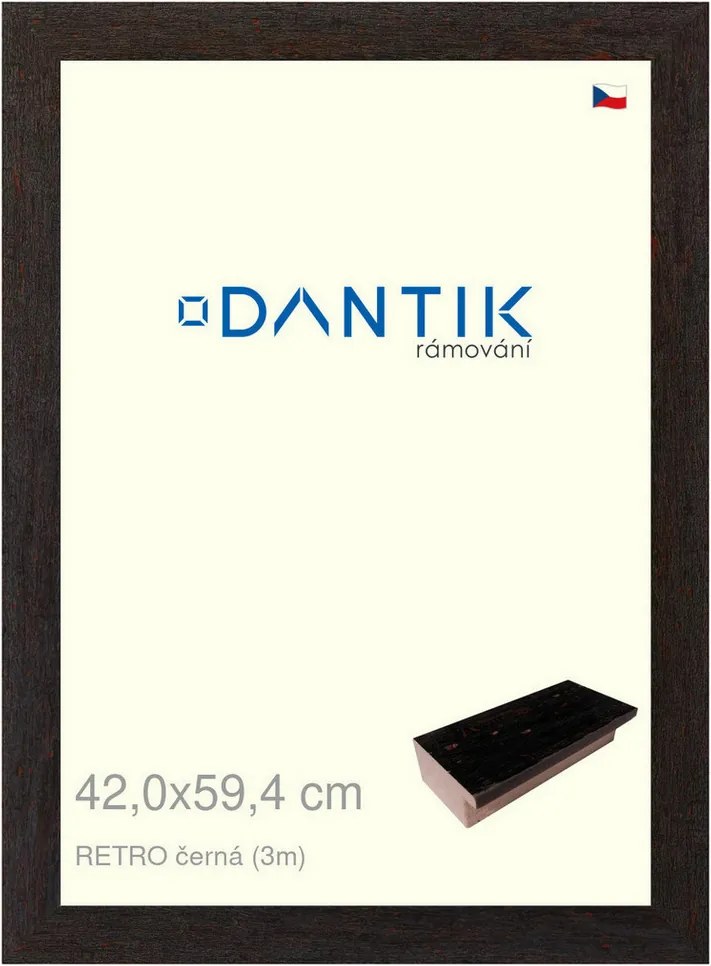 DANTIK rámeček 42x59,4 | RETRO černá (Plexi Čiré)