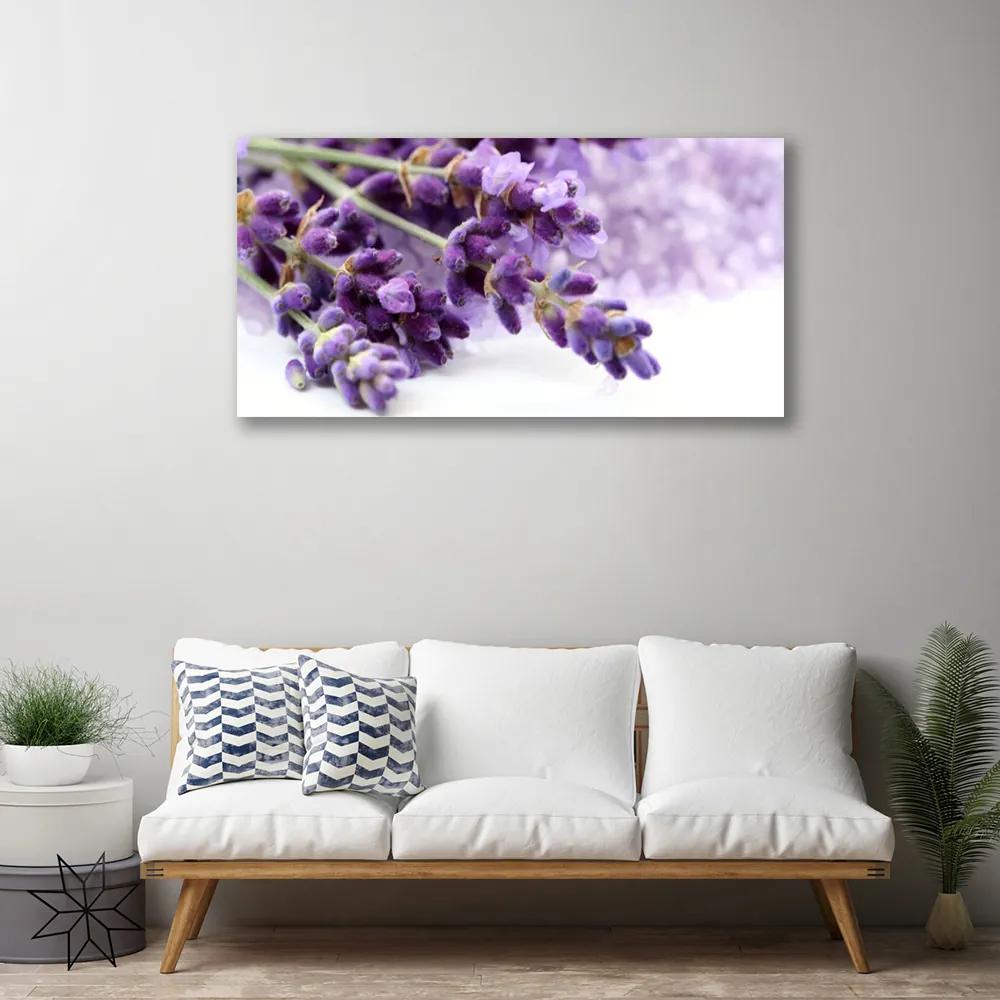 Obraz na plátně Květiny Příroda Rostlina 120x60 cm