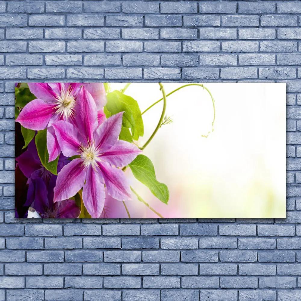 Plexisklo-obraz Květiny Příroda 120x60 cm