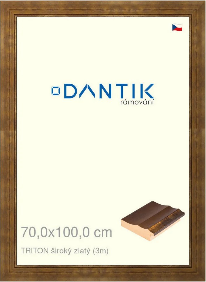 DANTIK rámeček 70x100 | TRITON široký zlatý (Plexi Čiré)