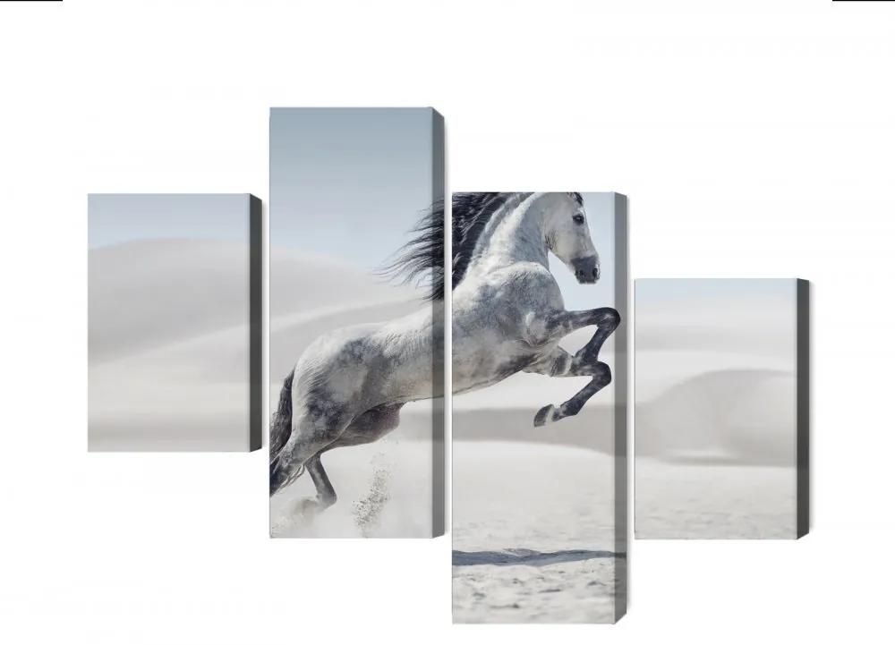 Vícedílný obraz Kůň V Poušti 3D Nedostatek Nedostatek Přírodní plátno 240x150