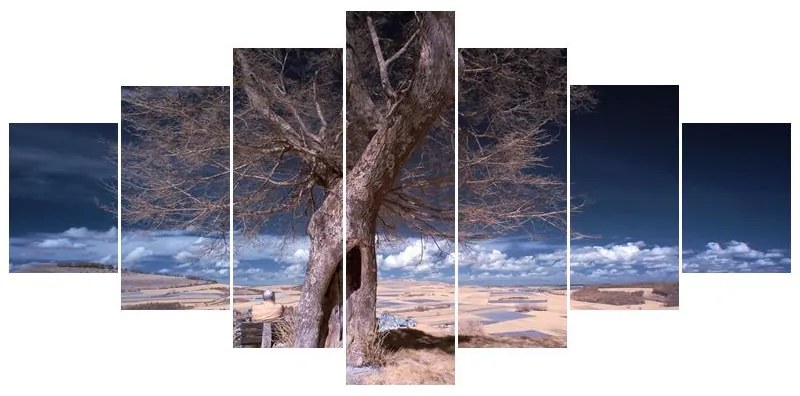 Obraz stromu v krajině (210x100 cm), 40 dalších rozměrů