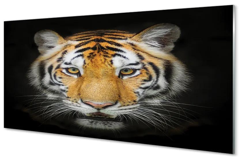 Obraz na skle Tygr 140x70 cm