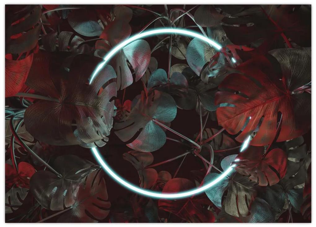 Obraz - Neonový kruh mezi palmami (70x50 cm)
