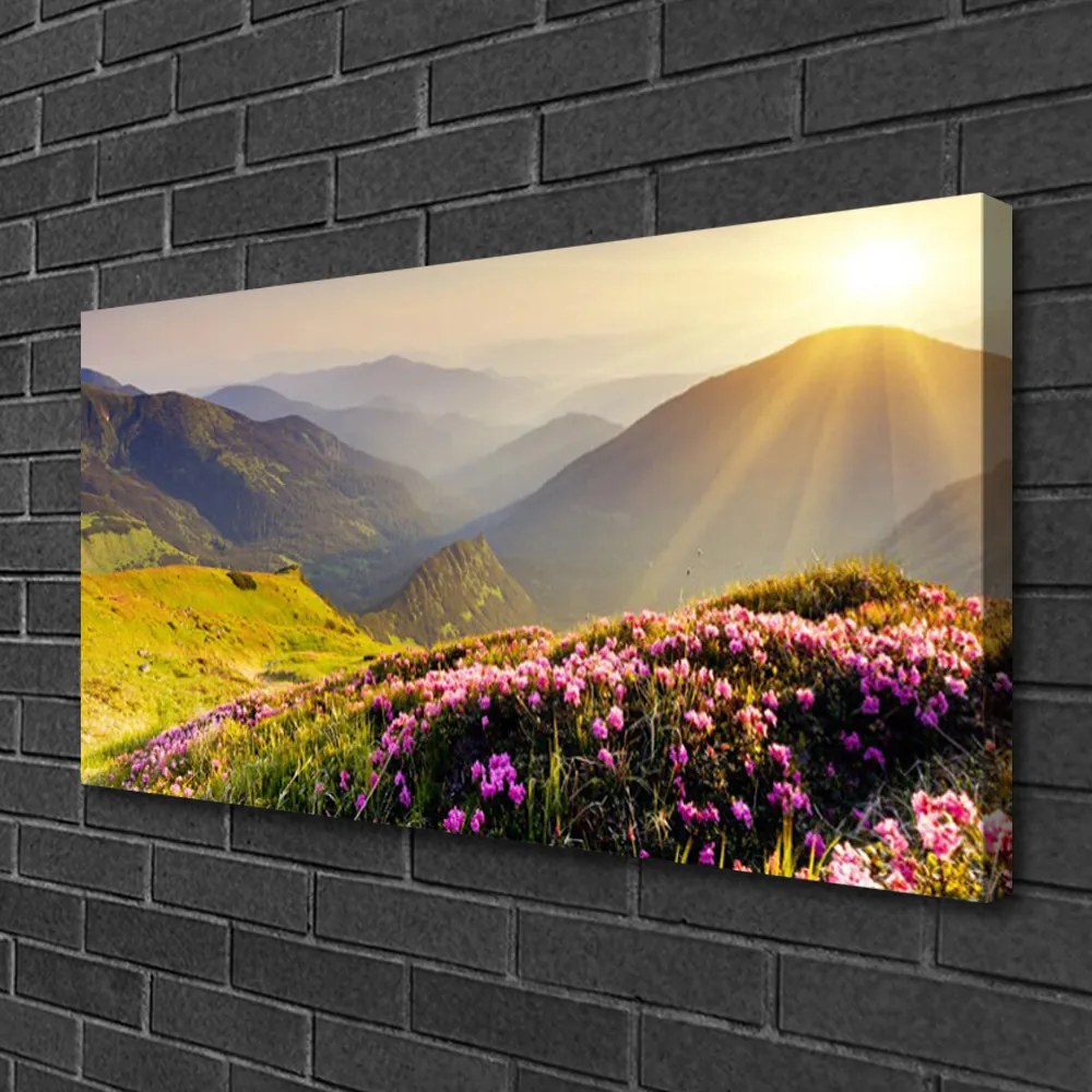 Obraz na plátně Hora Louka Krajina 125x50 cm