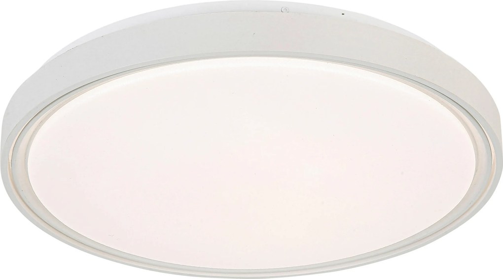 XXXLutz STROPNÍ SVÍTIDLO, 48/8 cm Novel - Online Only svítidla - 008227188602