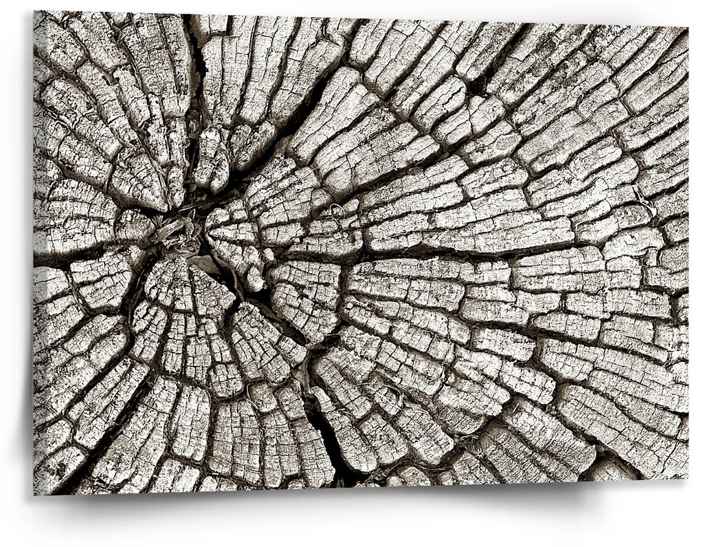 Obraz SABLO - Dřevo 150x110 cm
