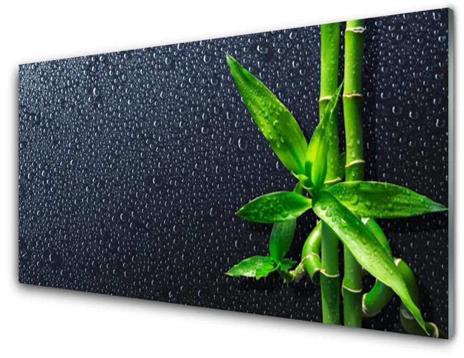 Obraz na skle Bambus Stonek Rostlina Příroda 100x50 cm