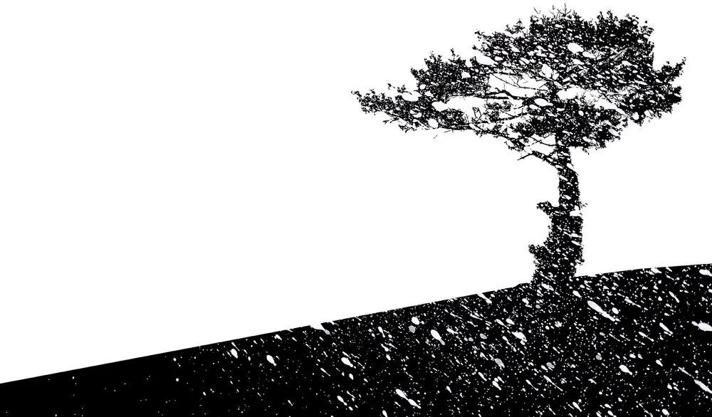 Samolepící tapeta silueta stromu - 225x150 cm