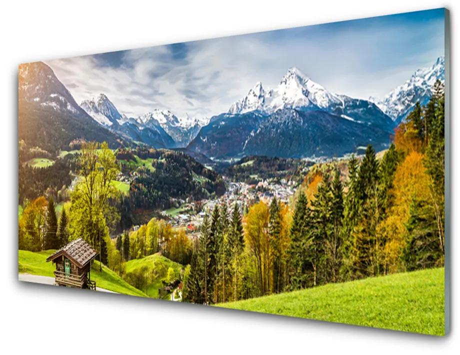 akrylový obraz Skleněná Alpy Krajina 100x50 cm