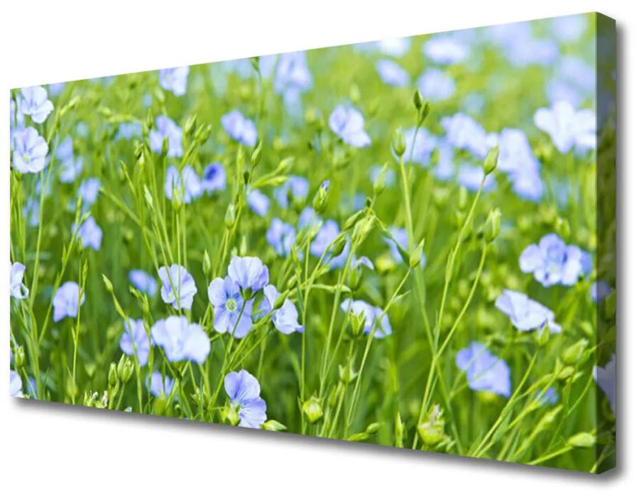 Obraz na plátně Květiny Tráva Rostlina Příroda 100x50 cm