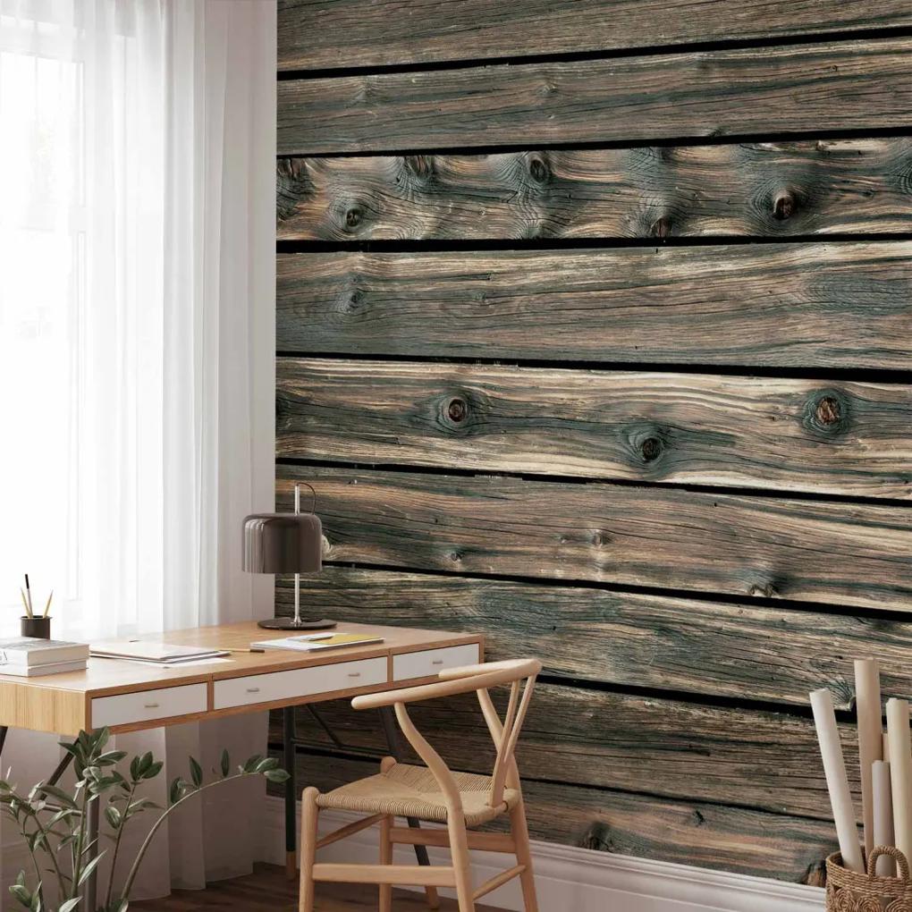 Fototapeta Rustikální prkna - pozadí v designu chladného šedého dřeva
