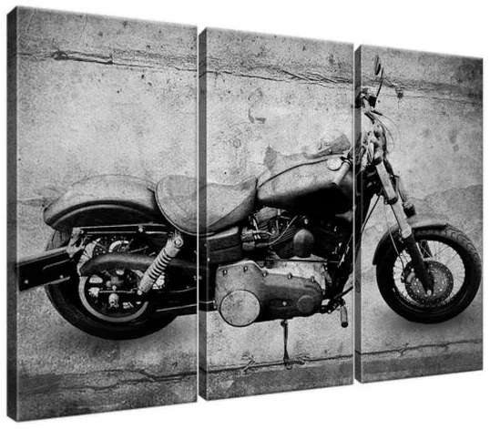 Obraz na plátně Silná motorka Harley Davidson 90x60cm 1944A_3J