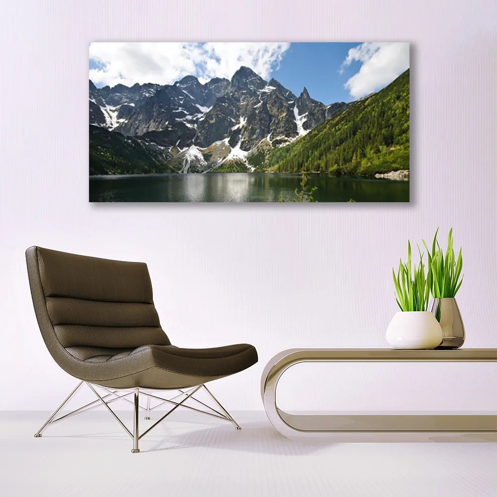 akrylový obraz Hora Jezero Les Krajina 120x60 cm