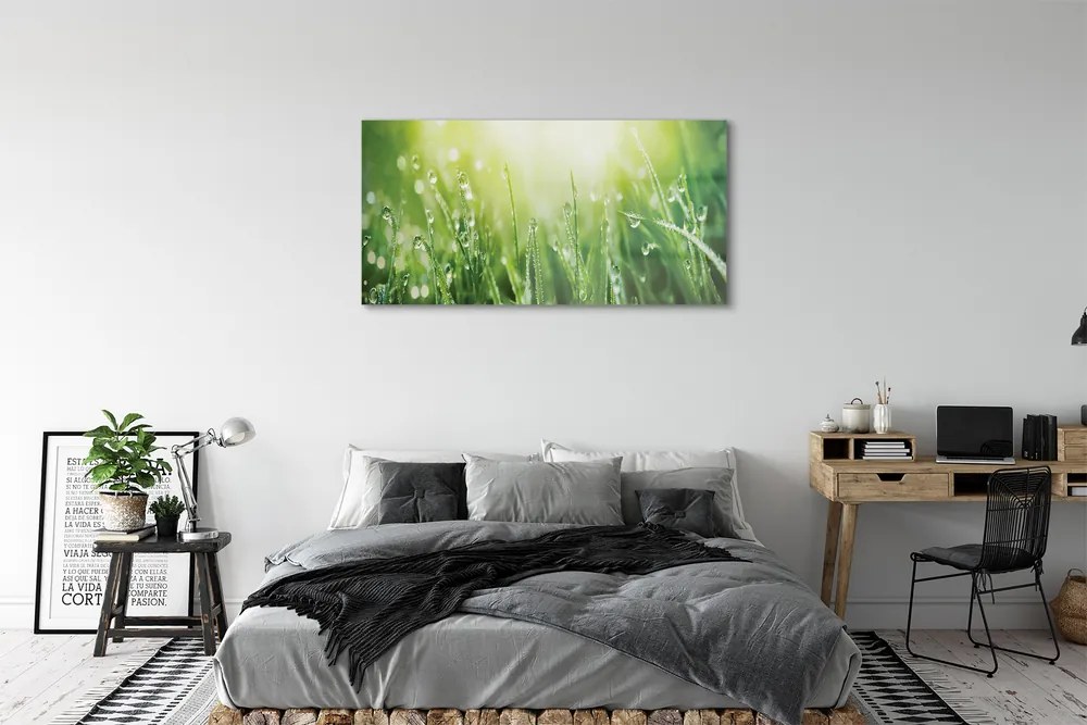 akrylový obraz Tráva slunce kapky 125x50 cm