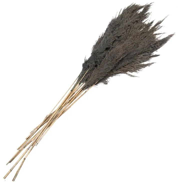 Šedá kytice sušené květy bambusu Bamboo – 100 cm