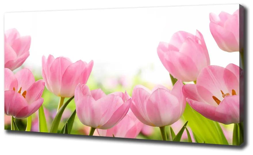 Wallmuralia Foto obraz na plátně Růžové tulipány 140x70 cm