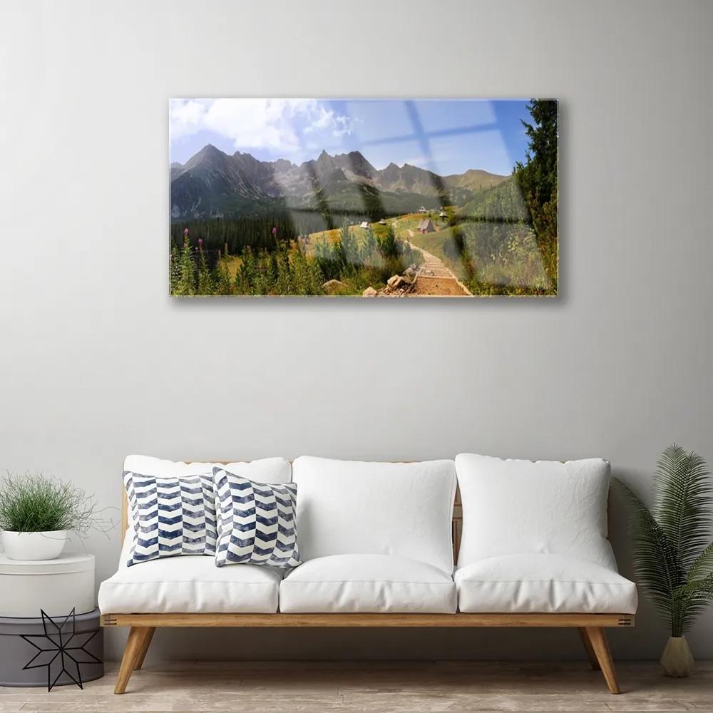 Obraz na skle Hala Góry Droga Natura Łąka 100x50 cm
