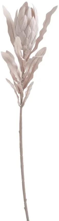 protea pastel - béžovorůžová