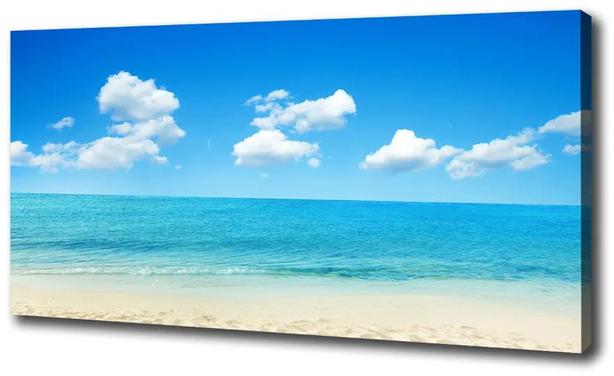 Wallmuralia Foto obraz na plátně Rajská pláž 100x50