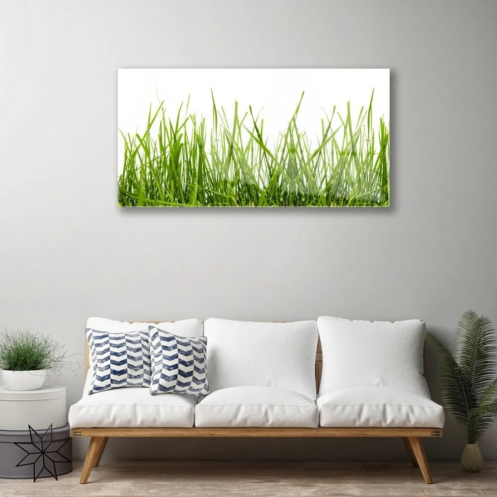 Obraz na skle Tráva Příroda Rostlina 125x50 cm