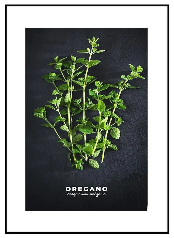 Obraz Artbox 50x70 AB182 Oregano OB-14442