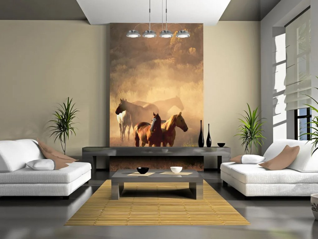 Tapeta koně ve stepi (150x116 cm) - Murando DeLuxe