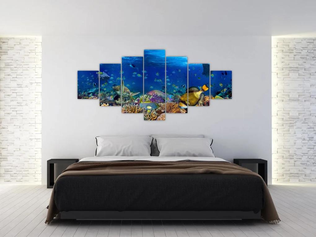 Obraz - Oceán (210x100 cm)